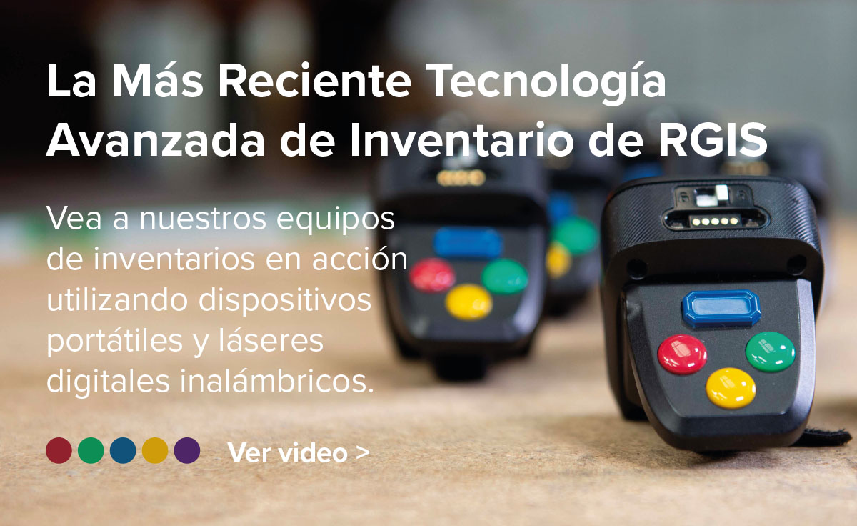 Inventario, cadena de suministro y auditoría | RGIS
